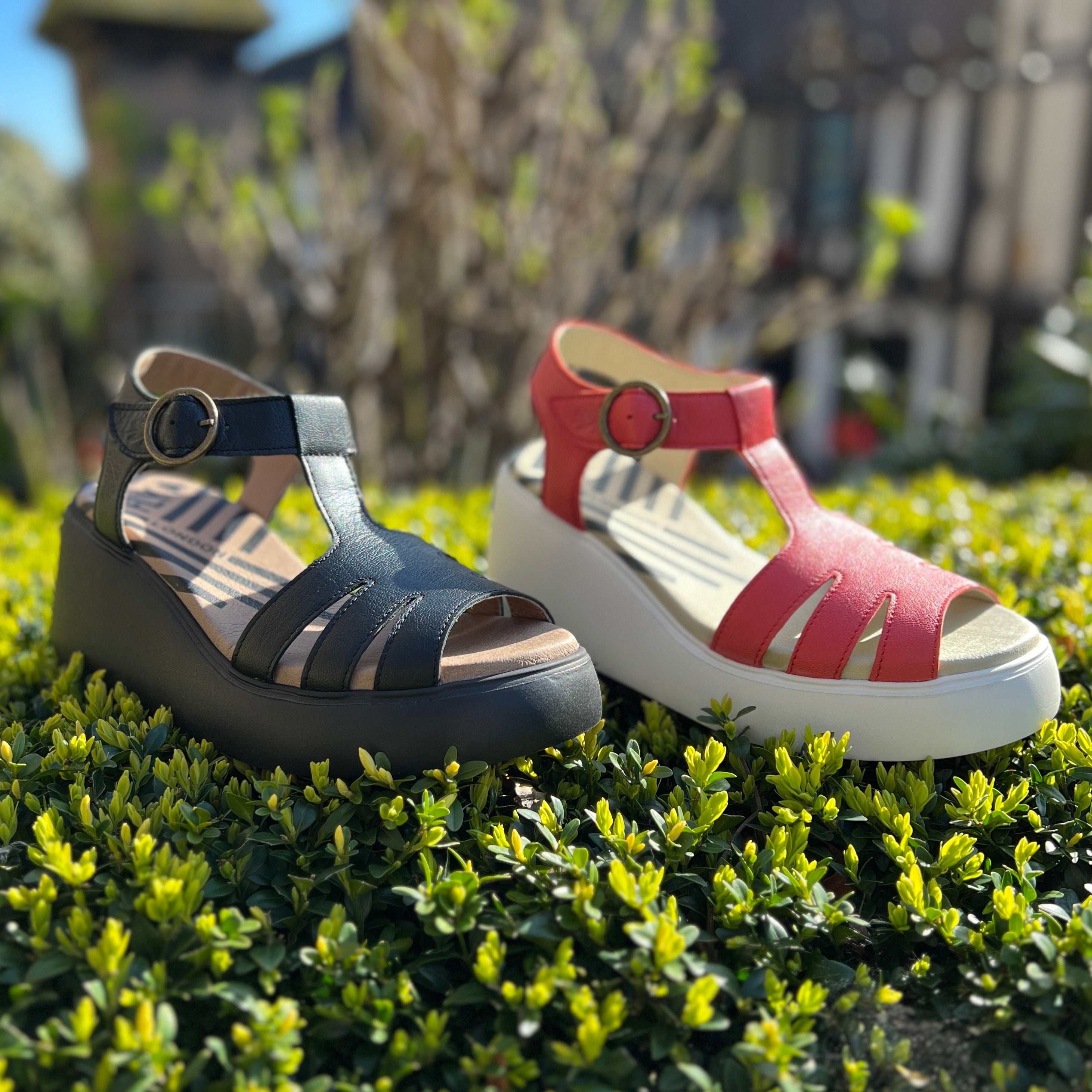 Women's Sandals – Prégo